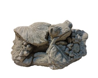 Concrete Frog Bench - Etsy