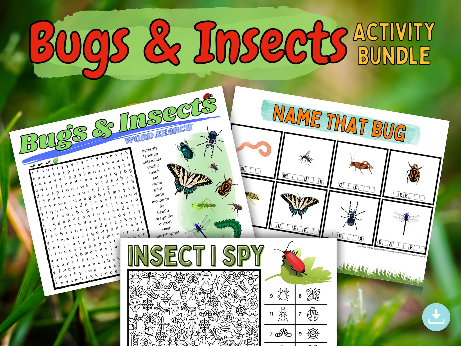 Insect Activity Pack: Bugs Word Search & Coloring Pages (PDF) - Etsy