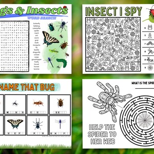 Insect Activity Pack: Bugs Word Search & Coloring Pages (PDF) - Etsy