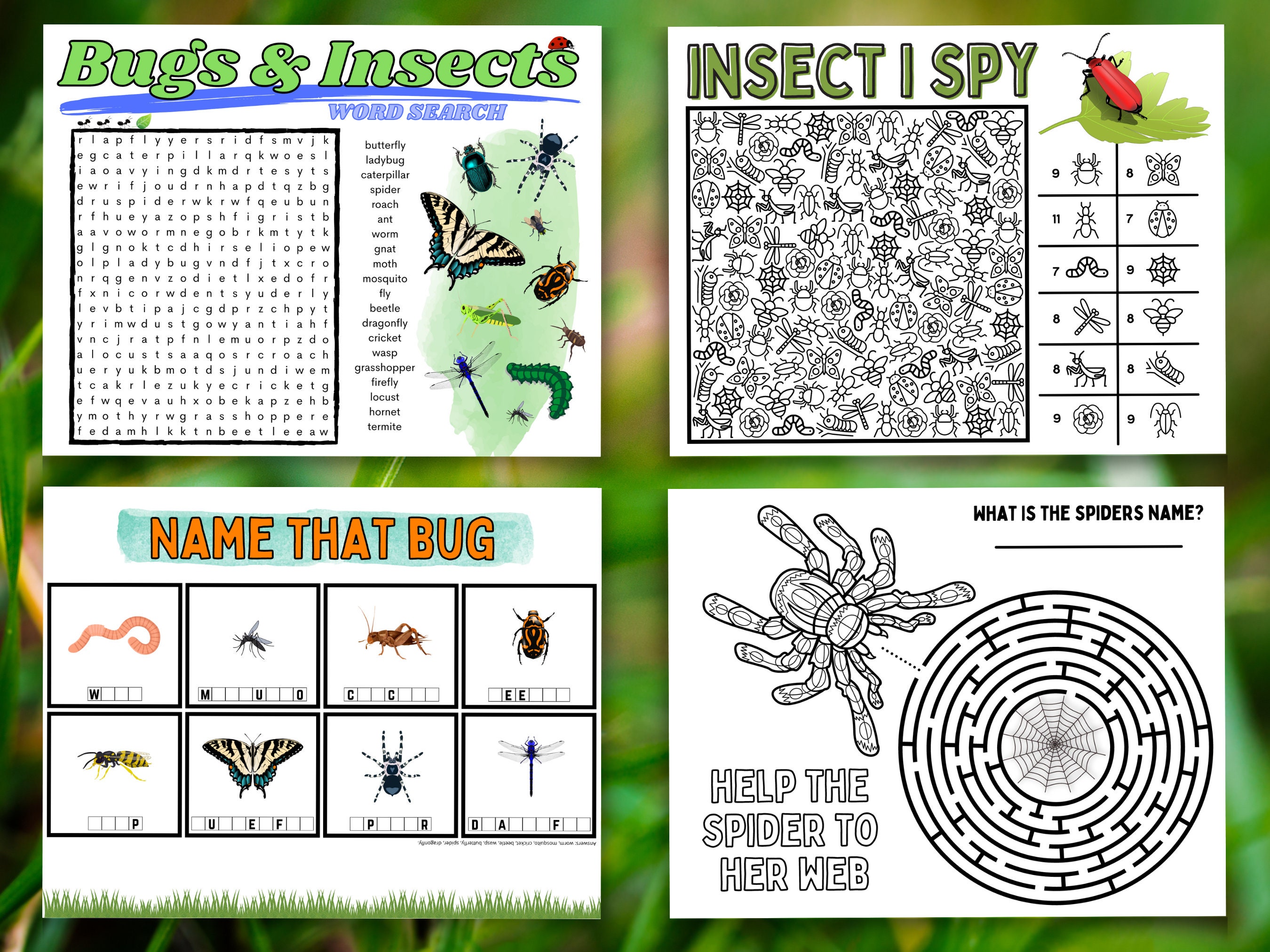 Insect Activity Pack: Bugs Word Search & Coloring Pages (PDF) - Etsy