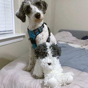 Wool Stuffed Sheepadoodle - Etsy