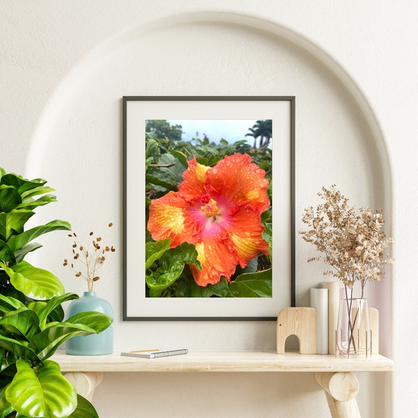 Print of Hibiscus - Etsy