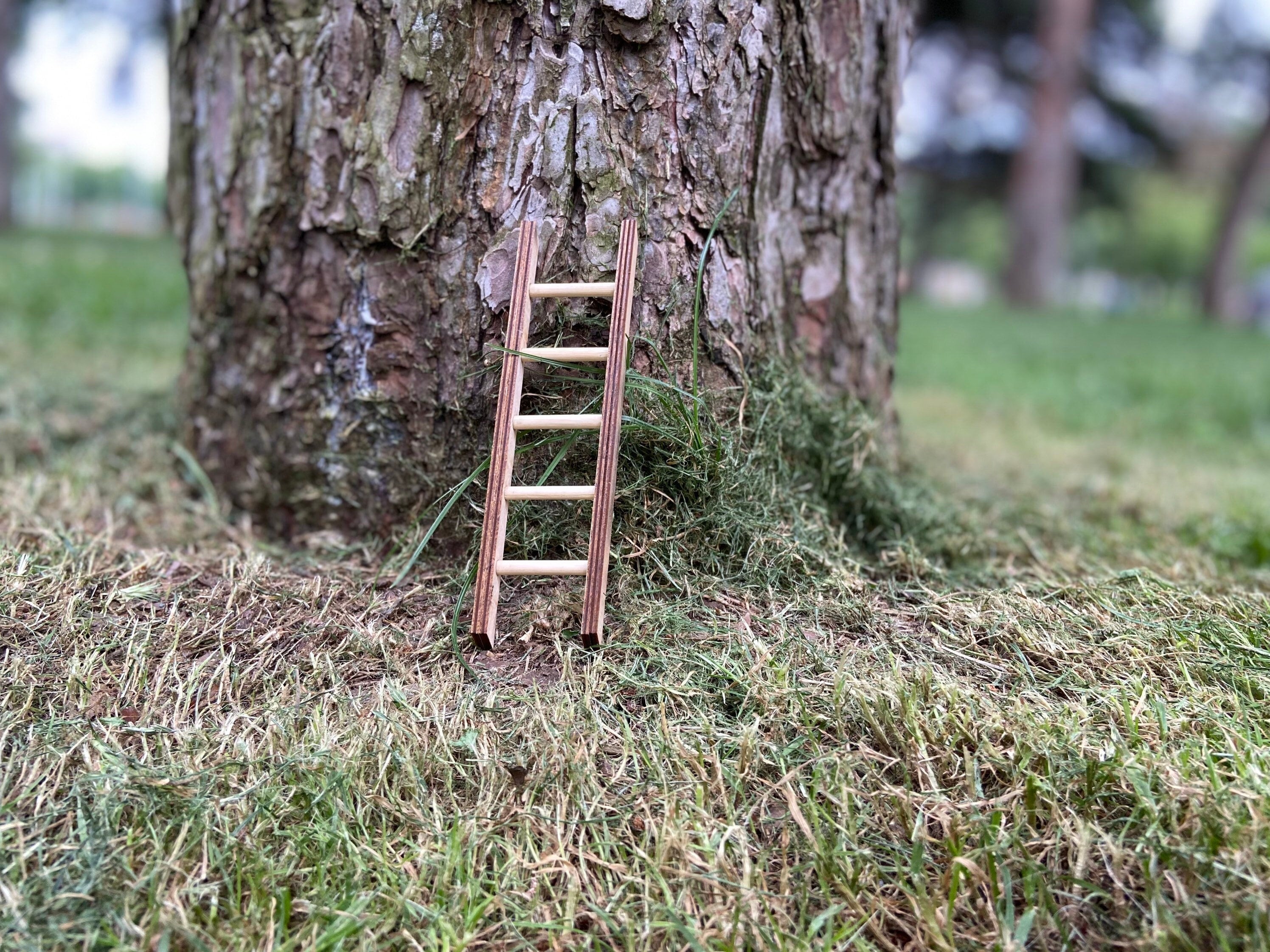 Fairy Door Ladder, Miniature Ladder Wooden, Fairy Ladder, Fairy Door ...