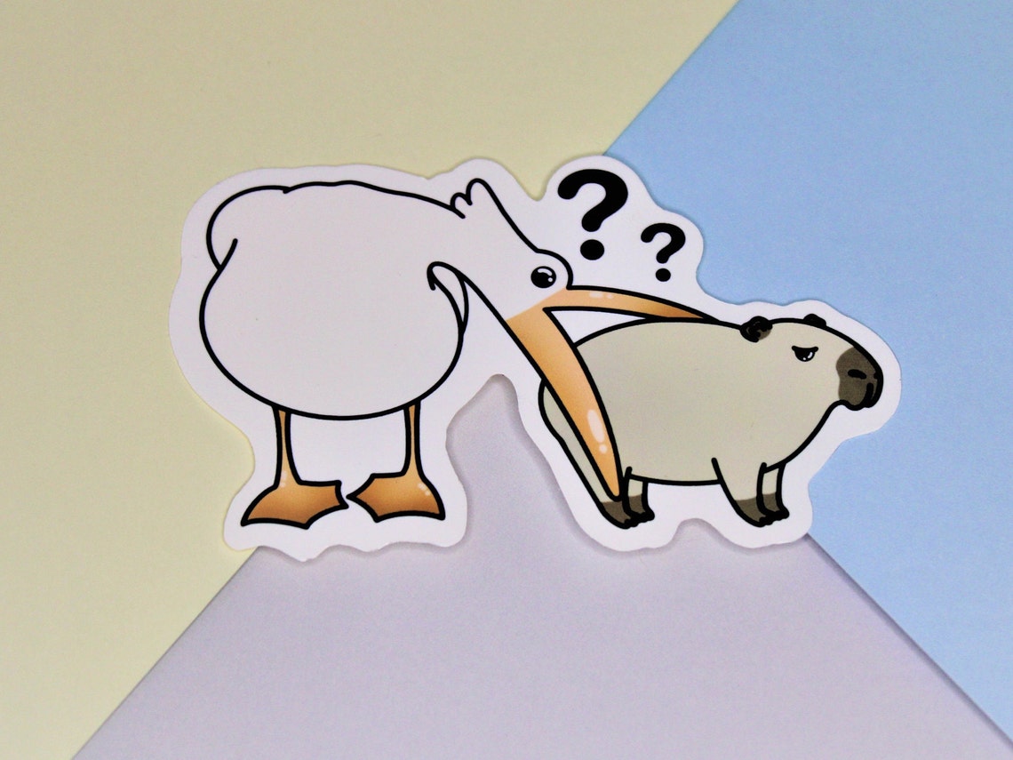 Confused Pelican Capybara Glossy or Holo Sticker Vinyl Decal - Etsy