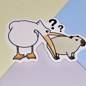 Confused Pelican Capybara Glossy or Holo Sticker Vinyl Decal - Etsy