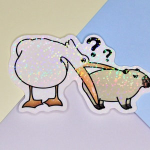 Confused Pelican Capybara Glossy or Holo Sticker Vinyl Decal - Etsy