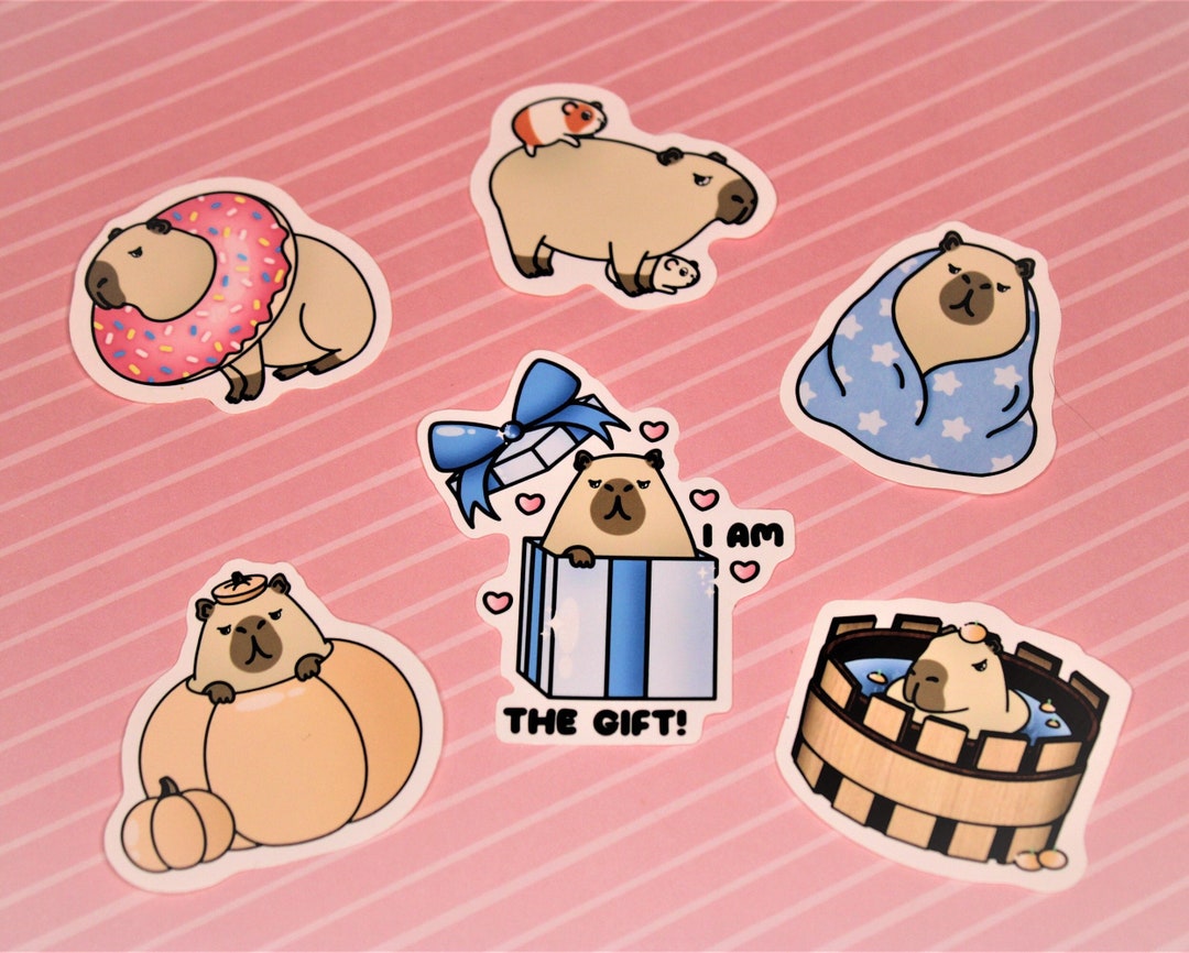 Capybara Sticker Pack - Charlie the Grumpy Capybara - Set of 6 Stickers ...