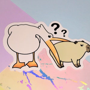 Confused Pelican Capybara Glossy or Holo Sticker, Vinyl Decal, Gifts ...
