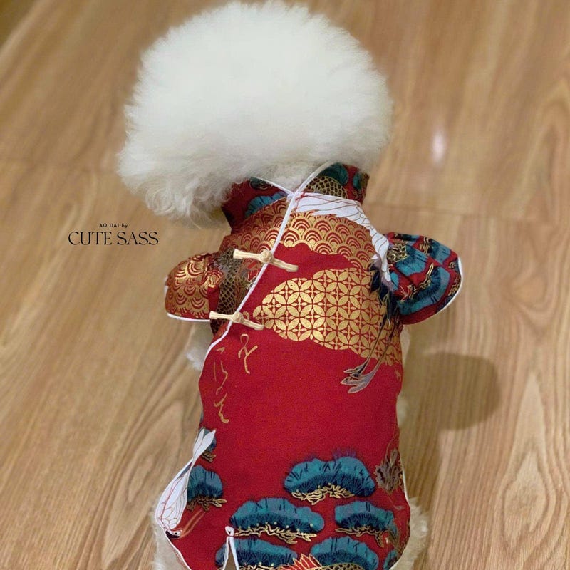 Maroon Asian Outfit - Etsy