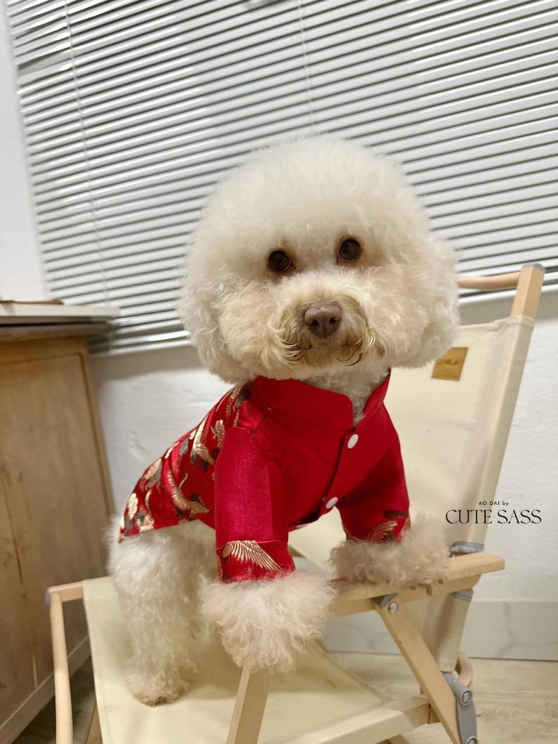Pet Red Gam Hac With Tassel Ao Dai 47A| Pet Ao Dai Costume | Vietnamese ...