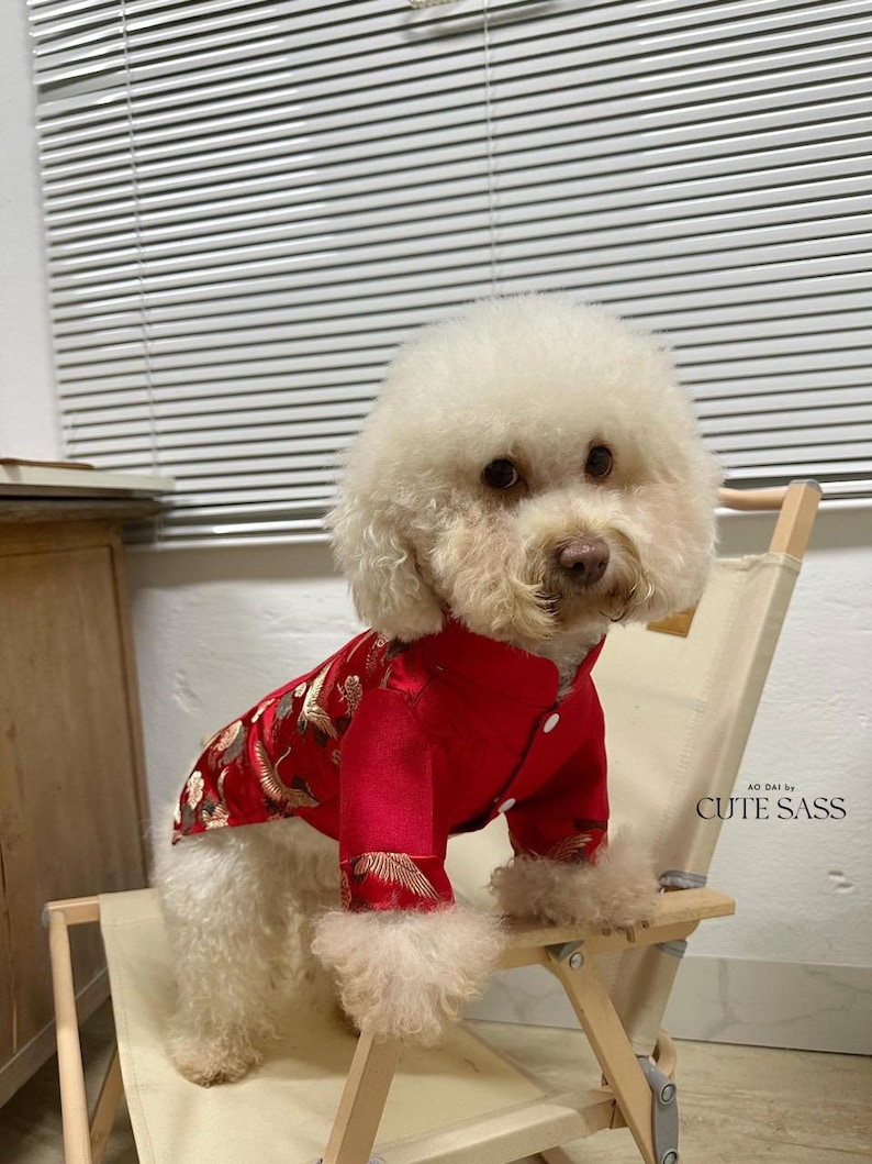 Pet Red Gam Hac With Tassel Ao Dai 47A| Pet Ao Dai Costume | Vietnamese ...