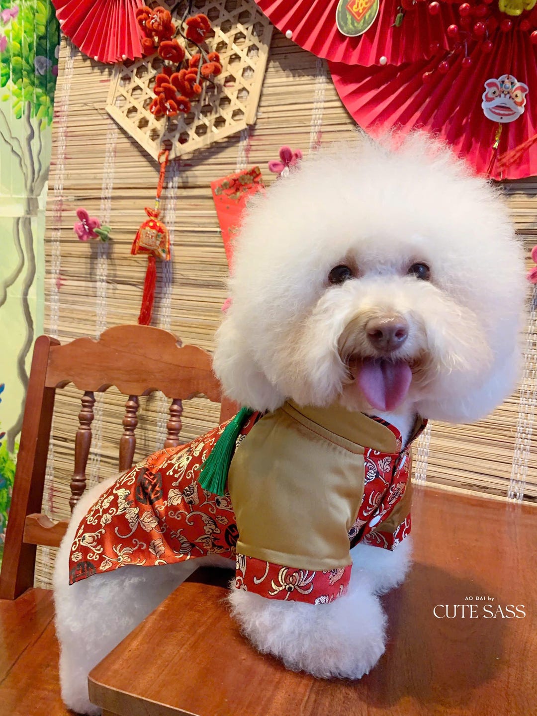 Pet Red/yellow Gam Green Tassel Ao Dai 4B | Pet Ao Dai Costume ...