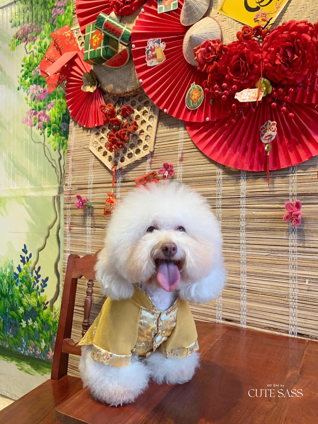Pet Yellow Gam Red Tassel Ao Dai 14-15B| Pet Ao Dai Costume ...