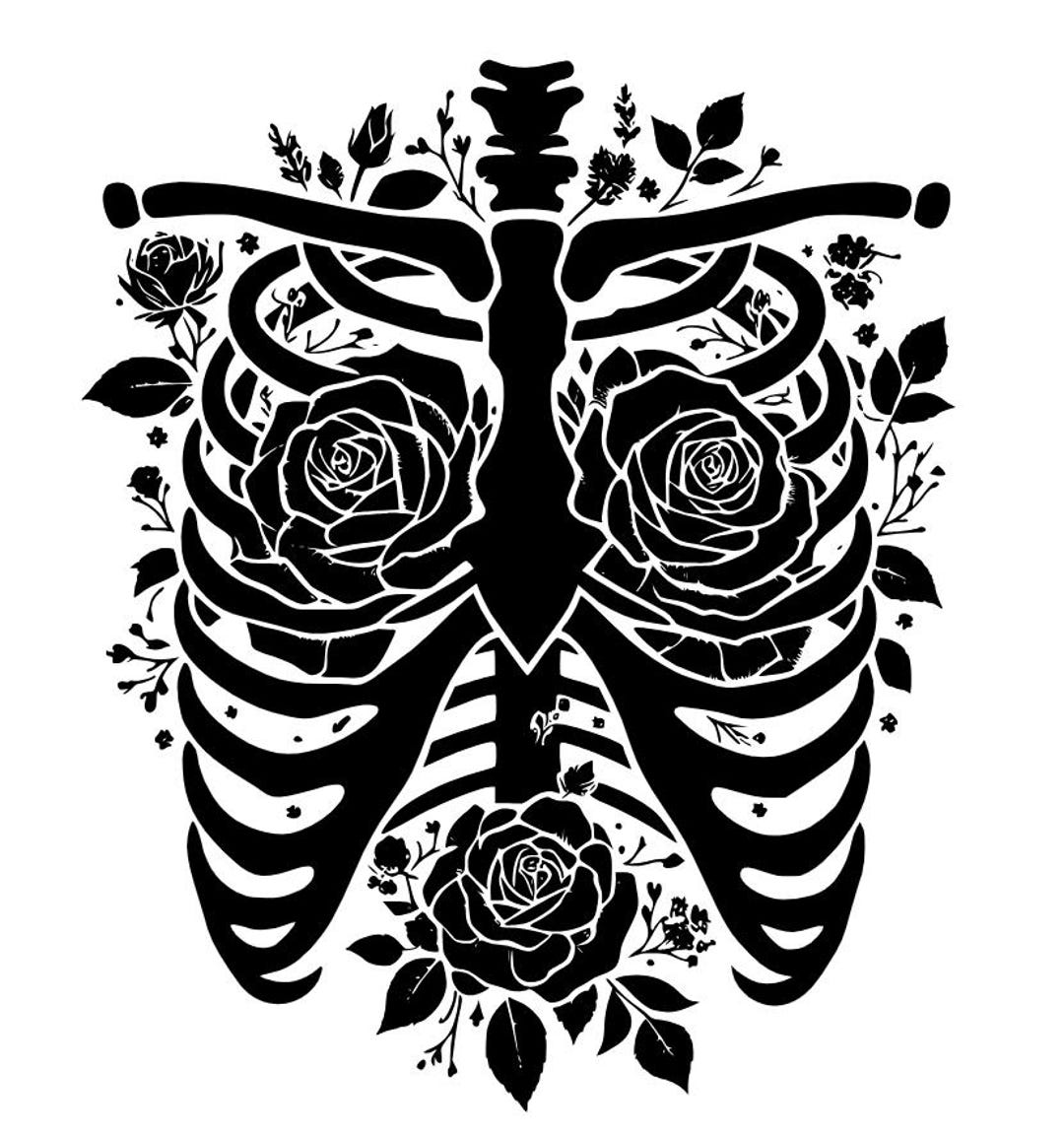 Rib Cage PNG and SVG Digital Download - Etsy