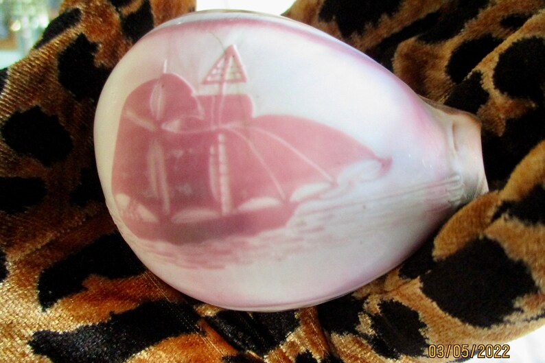 Two Vintage Carved Cowrie Shells One 1 Sagittarius Zodiac | Etsy