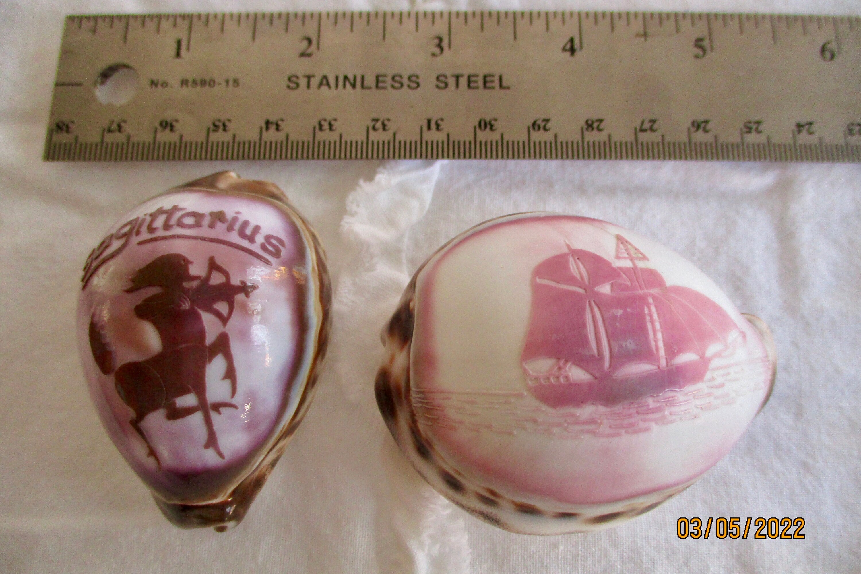 Two Vintage Carved Cowrie Shells - One (1) Sagittarius Zodiac Shell and ...