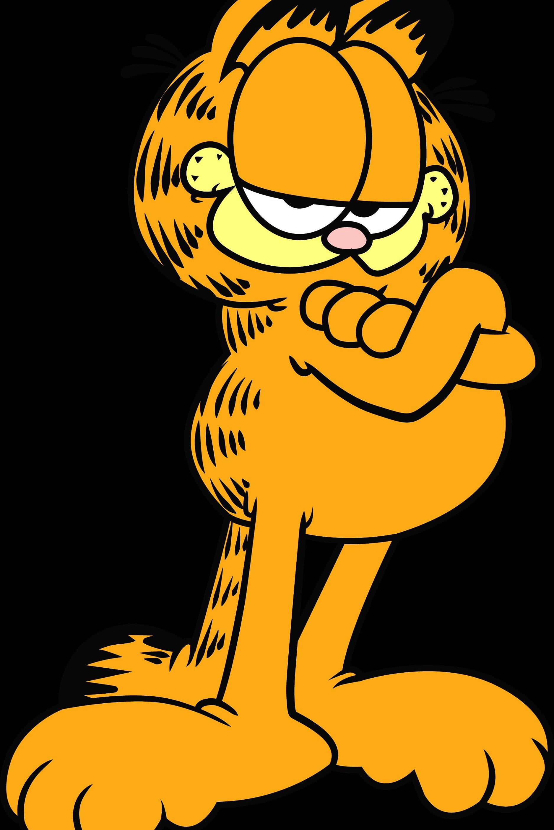 Garfield SVG PNG EPS Digital Files for Cricut, Illustrator - Etsy