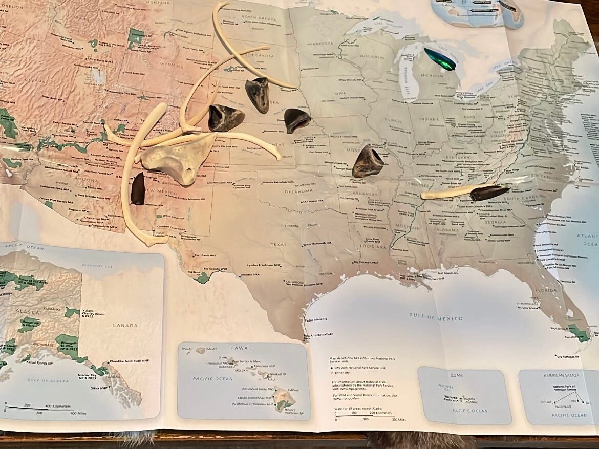 Bone Reading Osteomancy - Etsy