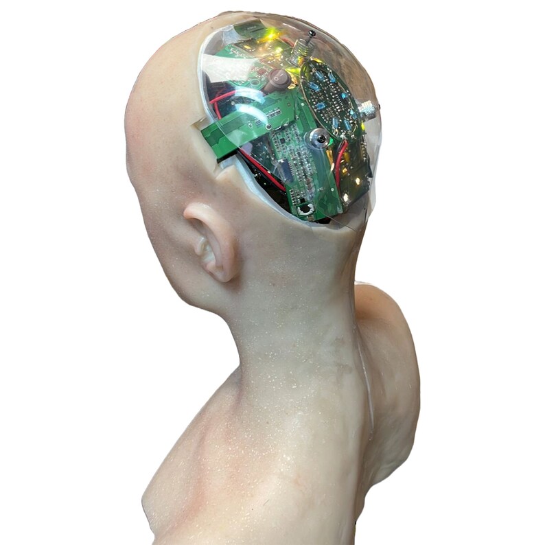 Realistic Sophia the Robot Silicone Bust Replica - Human Sized Figurine ...