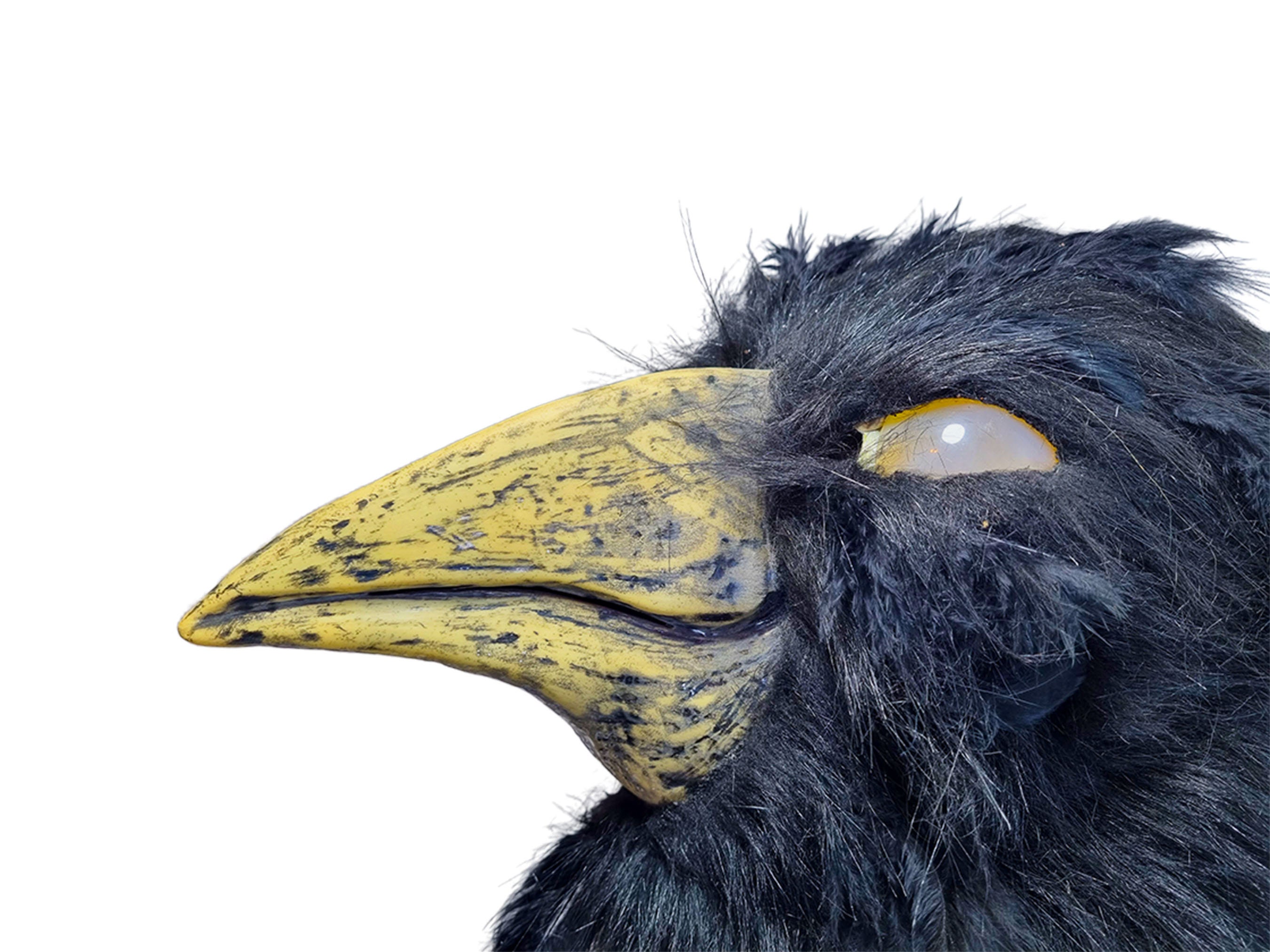 Realistic Raven Mask for Cosplay or Halloween, Crow Mask, Cosplay Mask ...