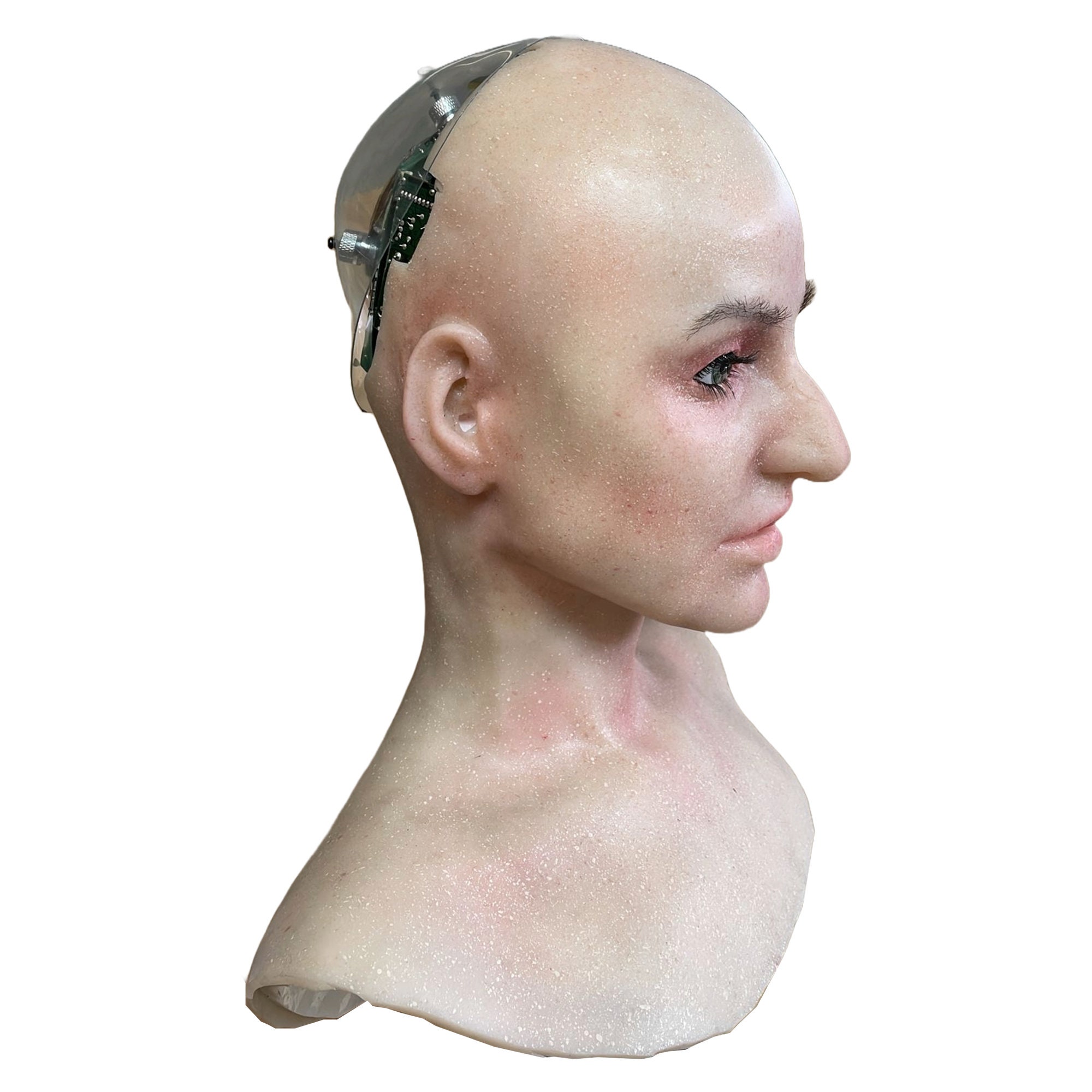 Realistic Sophia the Robot Silicone Bust Replica - Human Sized Figurine ...