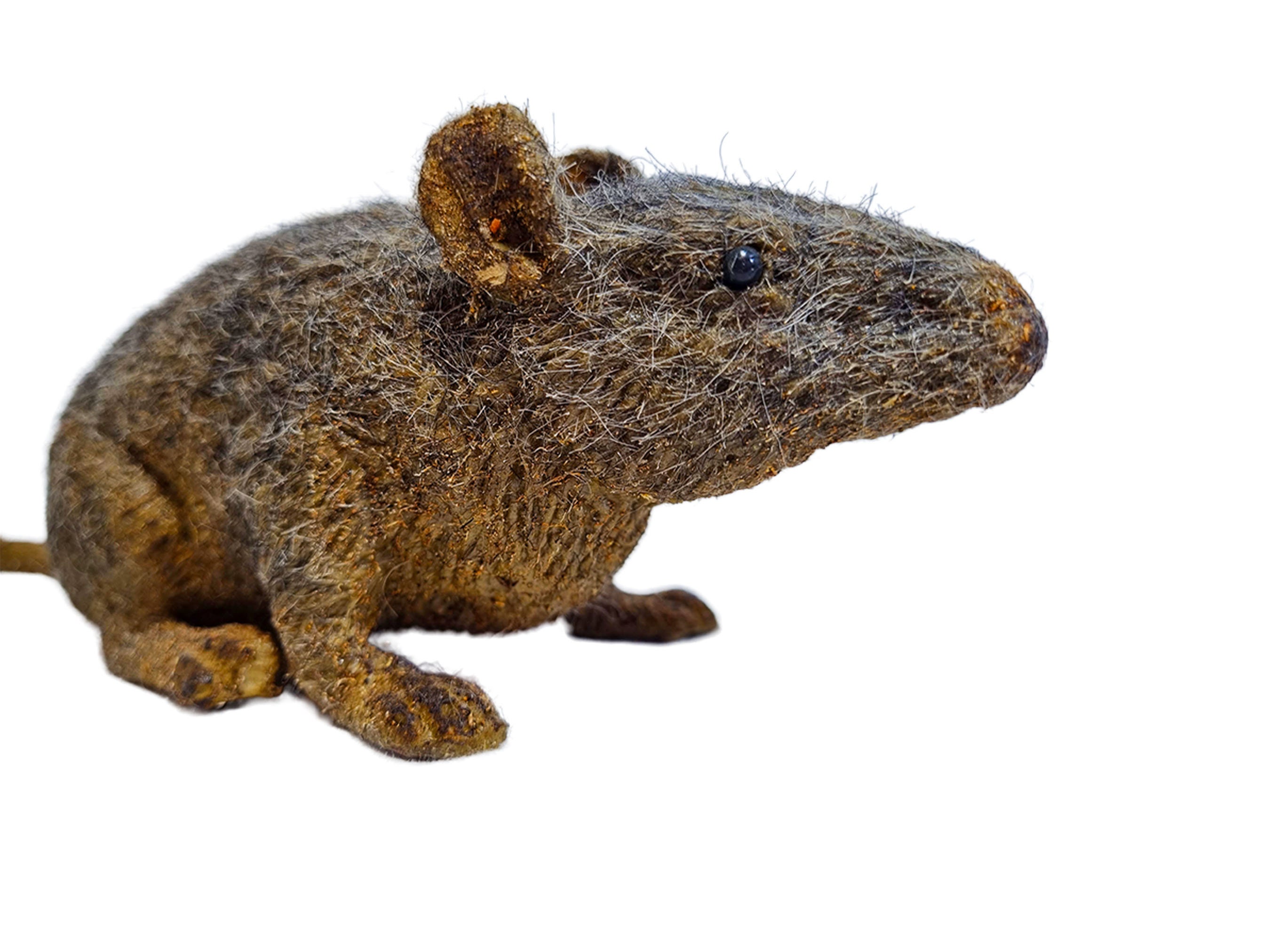 Realistic Rat Figurine- Brown Rat Sculpture - Mouse Prop Decoration ...