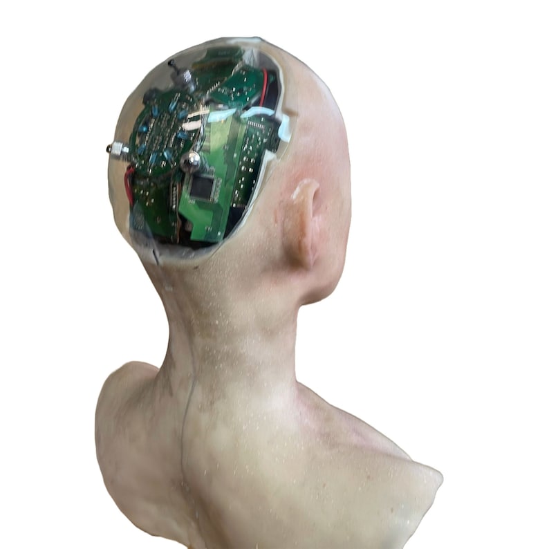 Realistic Sophia the Robot Silicone Bust Replica - Human Sized Figurine ...