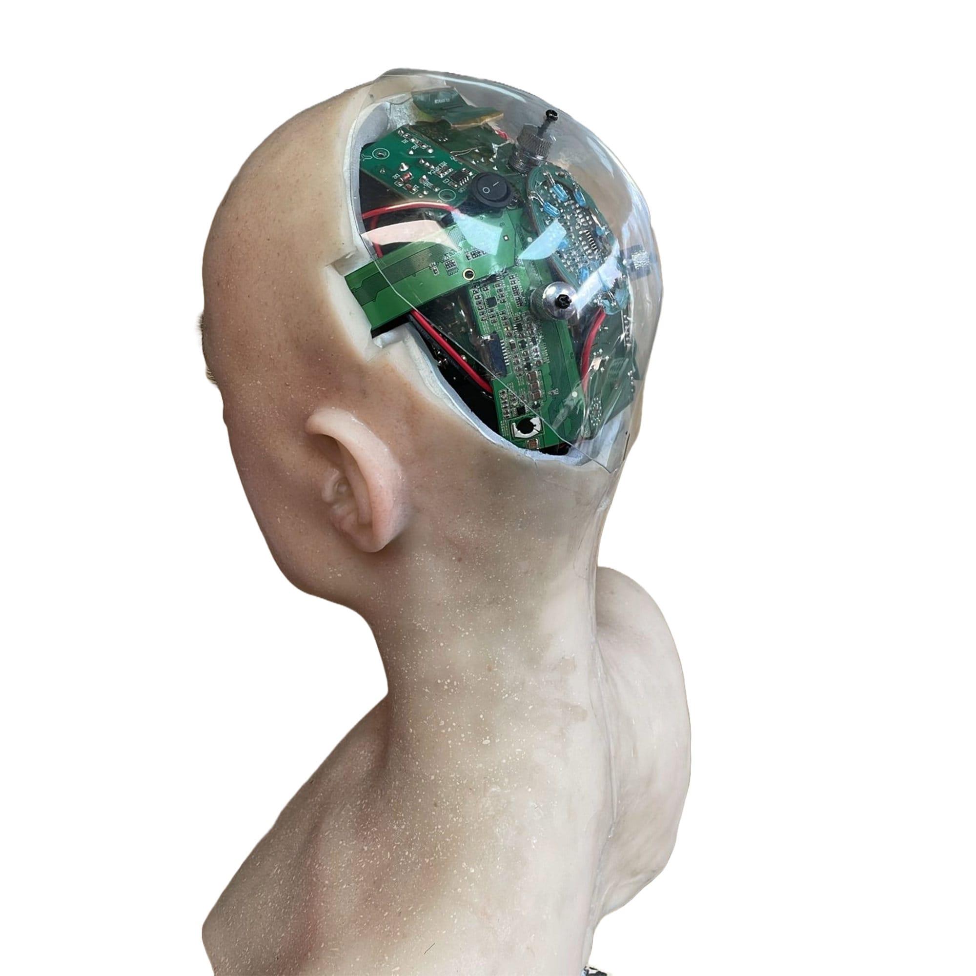 Realistic Sophia the Robot Silicone Bust Replica Human Sized Figurine ...