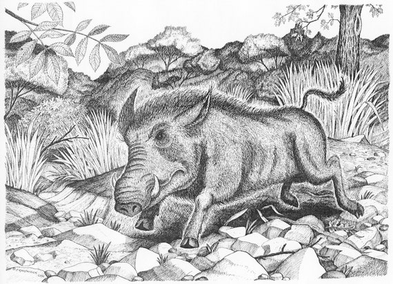 Charging Razorback a Pen and Ink Print of a Wild Boar Signed - Etsy