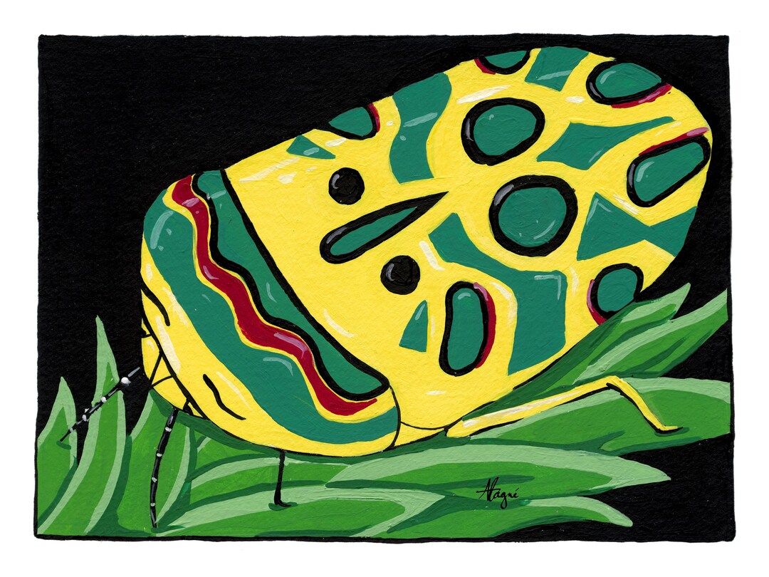 Illustration Insect Picasso Beetle Acrylic Gouache on Artist's Paper ...