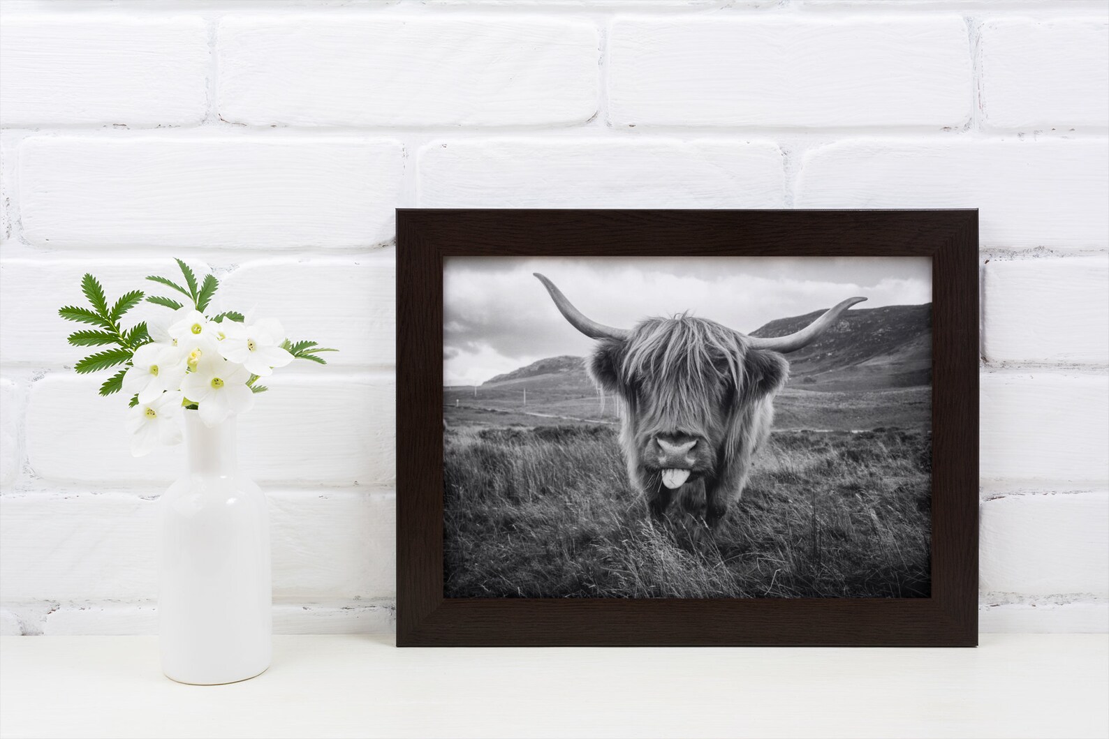 Scottish Hairy Coo Shaggy Cow Poster Print Canvas - Etsy