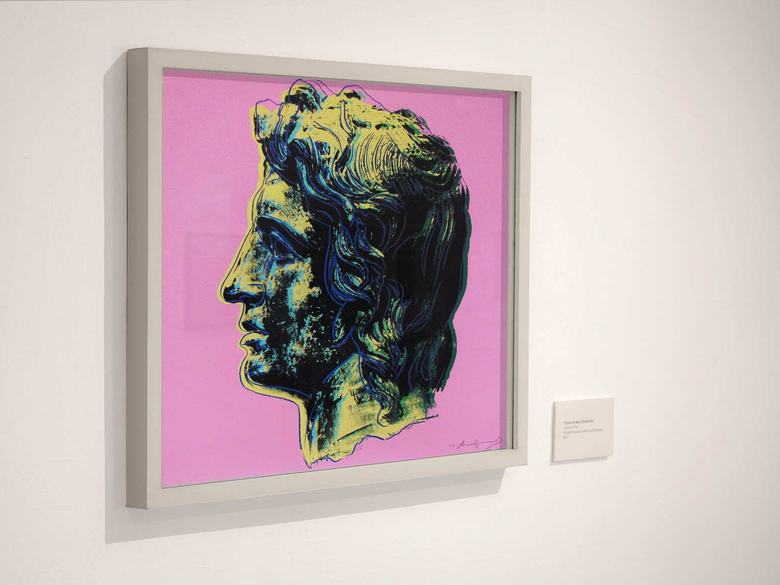 Andy Warhol Alexander the Great Poster Print Artwork | Etsy