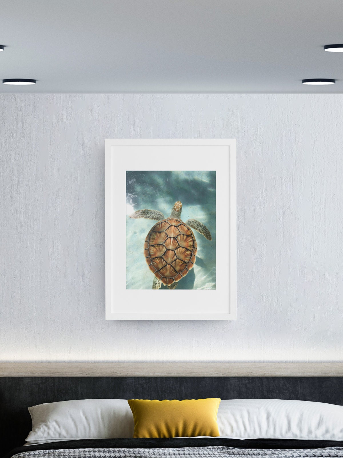 Sea Turtle, Poster, Print, Canvas, Summer Days, Sent From Sydney ...