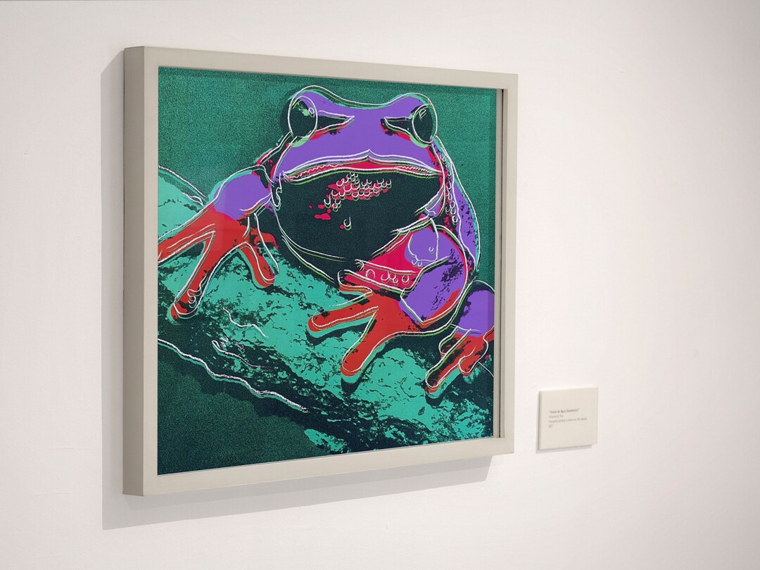 Andy Warhol, Pine Barrens Tree Frog, Endangered Animals Series, Poster ...