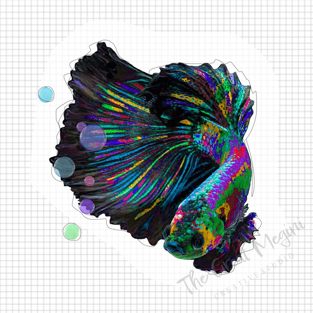 Betta Fish Collage Print - Etsy