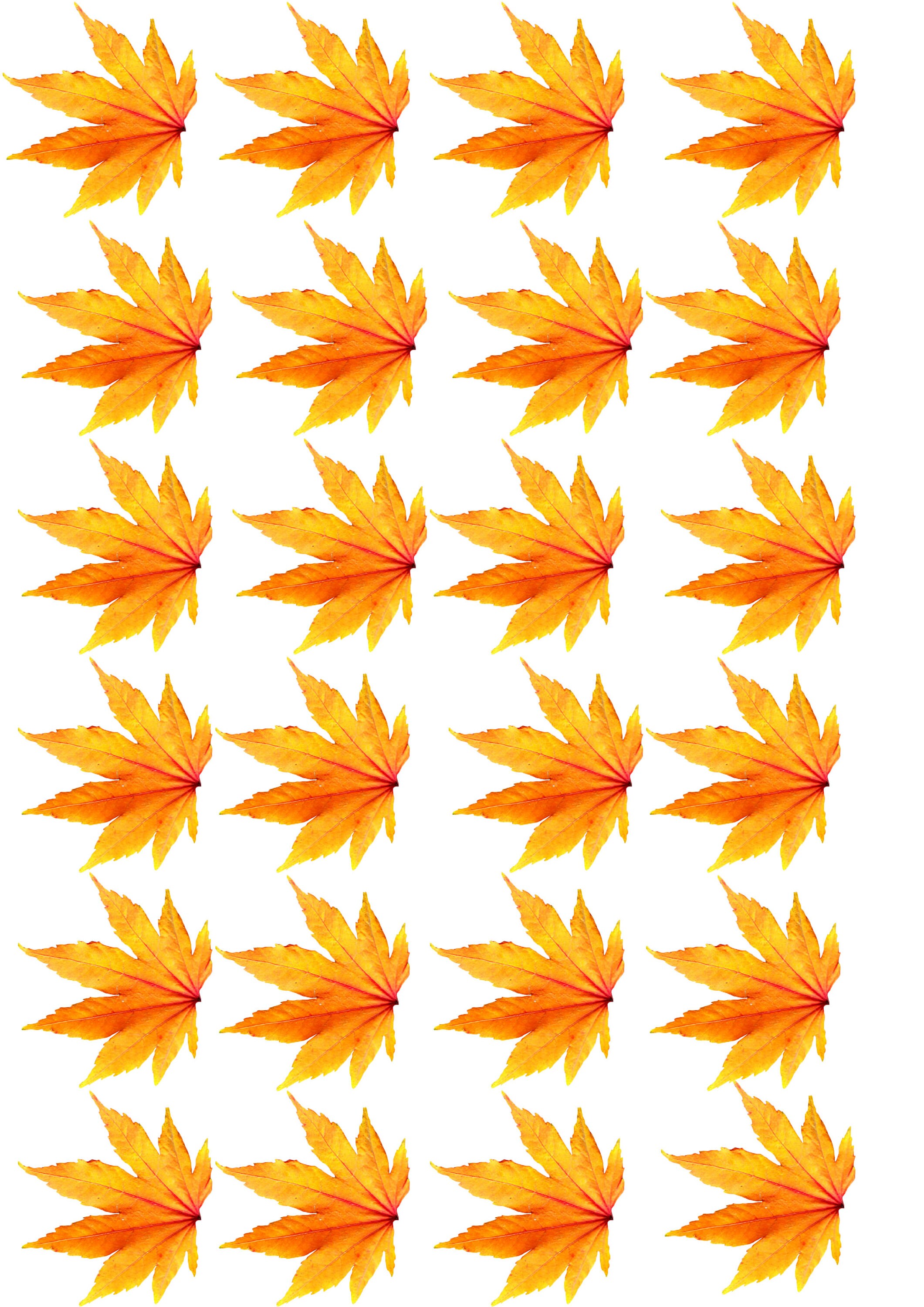 Printed Edible Paper Photo Cake and Cupcake Topper Japanese Maple ...