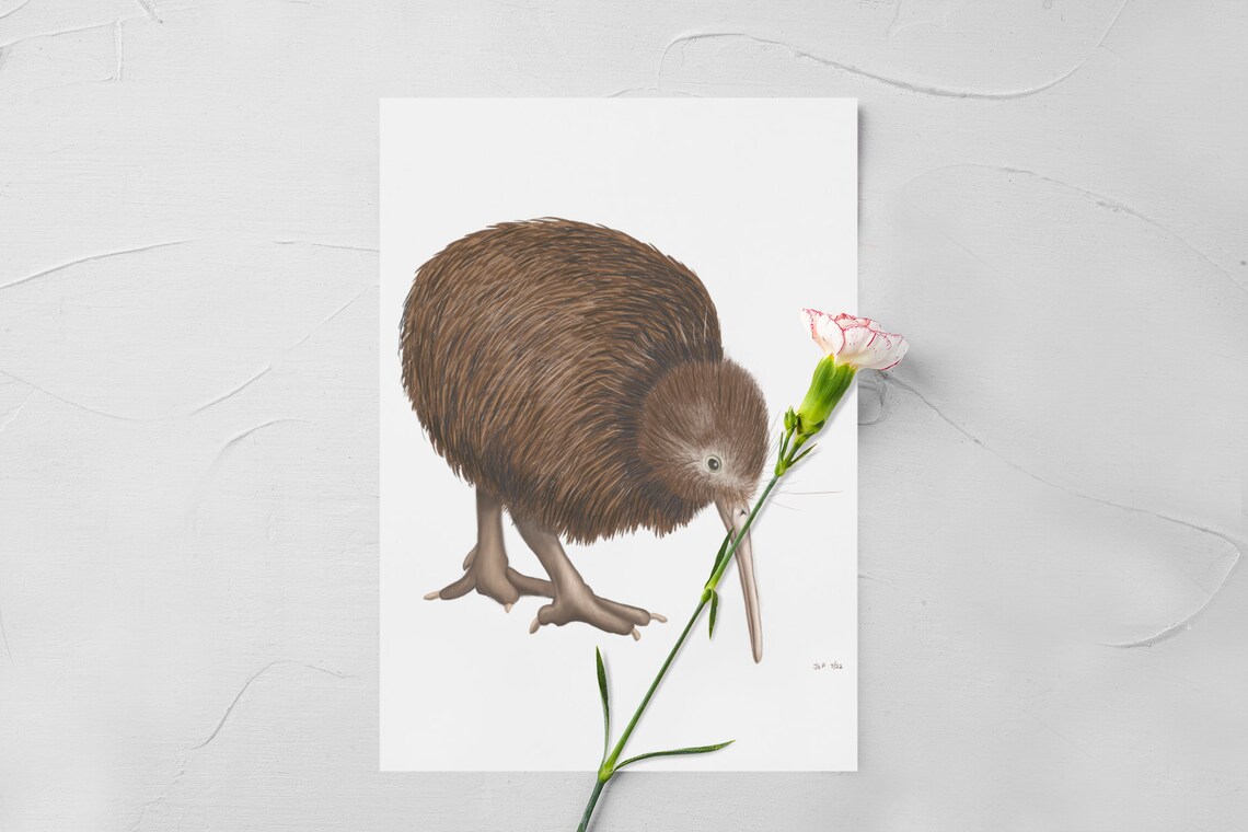 Hand Drawn Digital Painting of the Native NZ Kiwi. Digital Wall Art ...