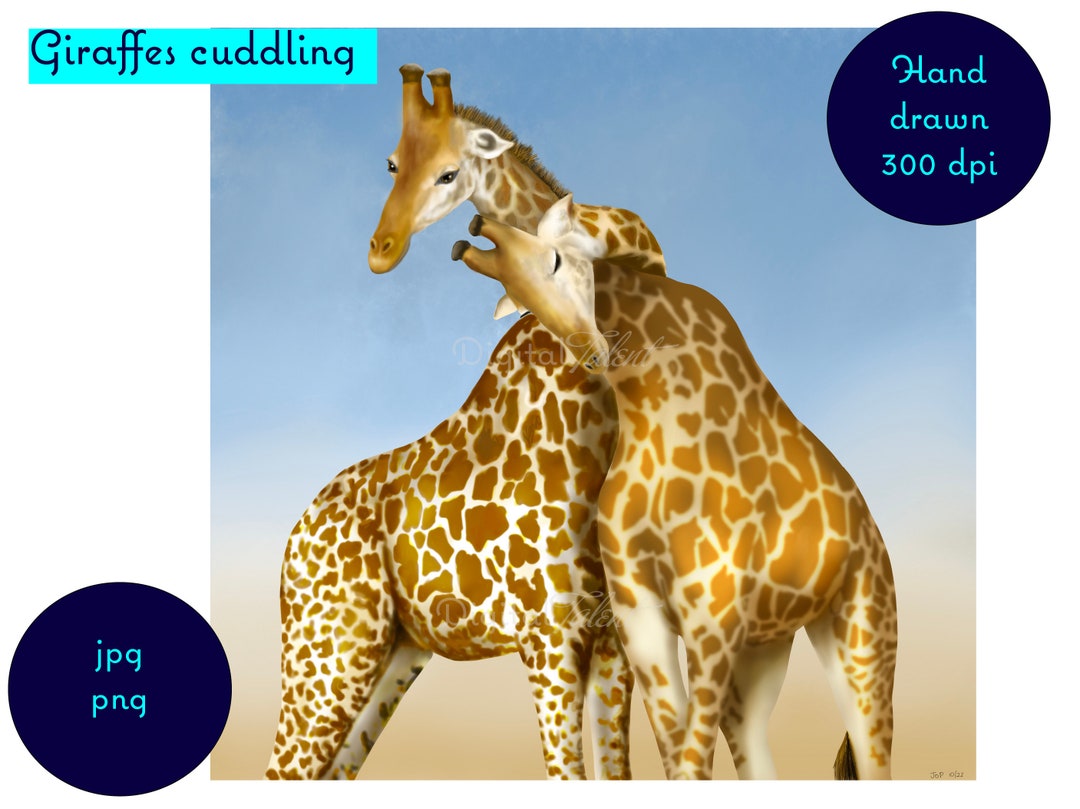 Hand Drawn Realistic Digital Painting of Cuddling Giraffes. Digital ...