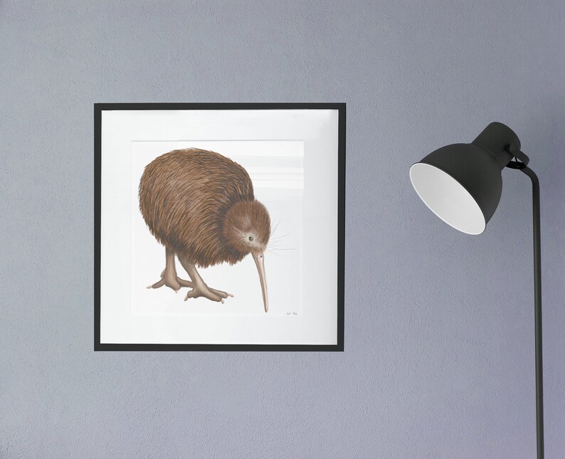 Hand Drawn Digital Painting of the Native NZ Kiwi. Digital Wall Art ...