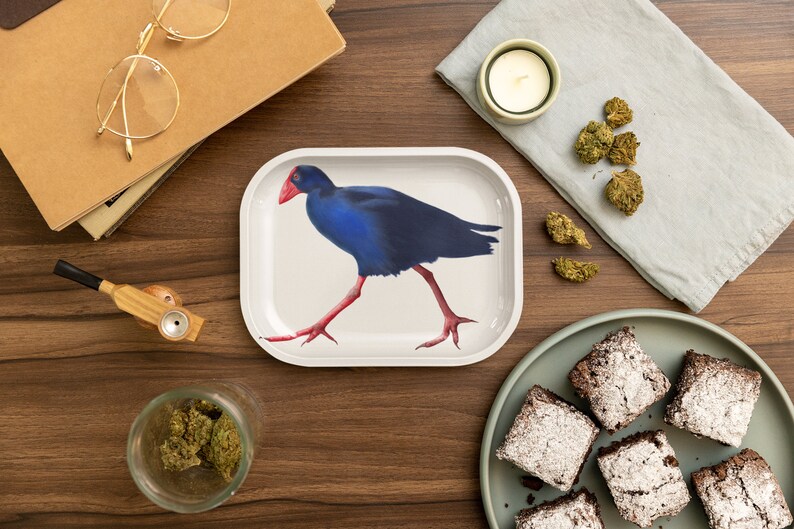 Handdrawn Digital Painting of the Native NZ Bird the Pukeko. Digital ...