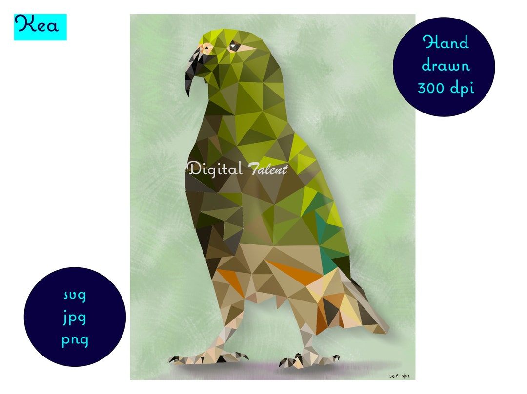 NZ Kea Digital Art Print for Download. Svg, Jpg, Png, Low Poly - Etsy