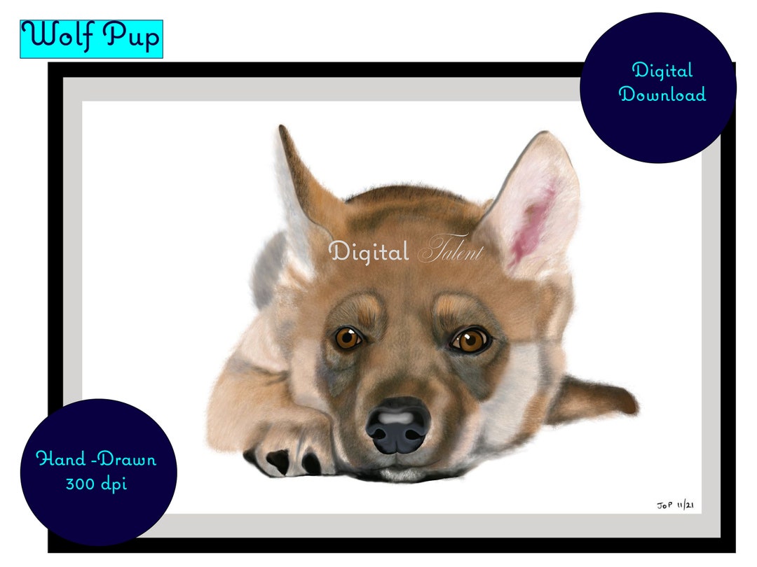 Hand Drawn Wolf Pup Art Print for Digital Download. Woodland Nursery ...