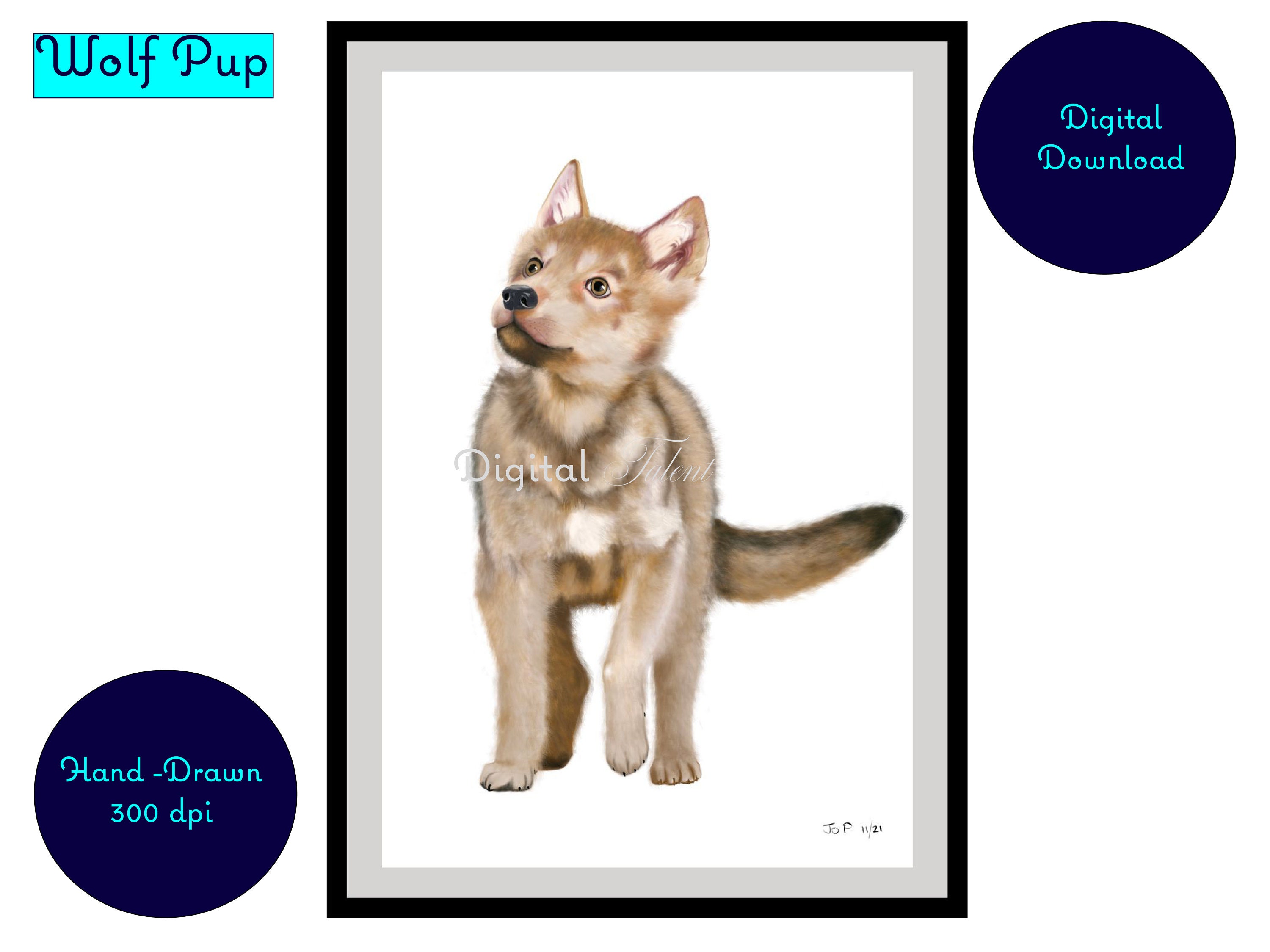 Wolf Pup Pictures To Draw