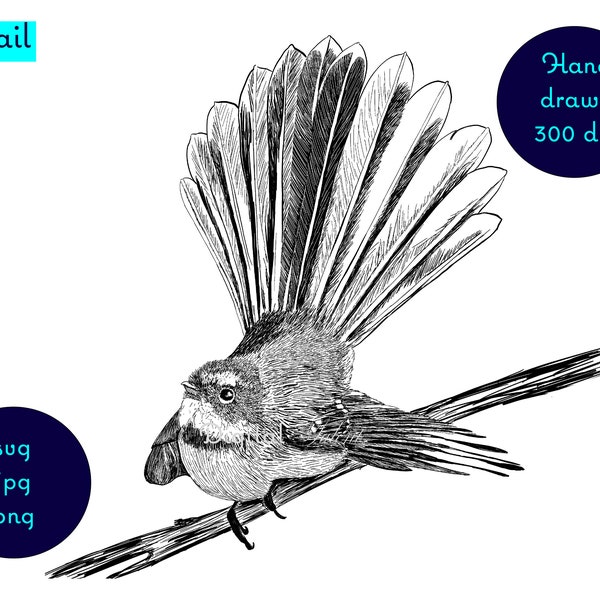 Fantail Clipart - Etsy New Zealand