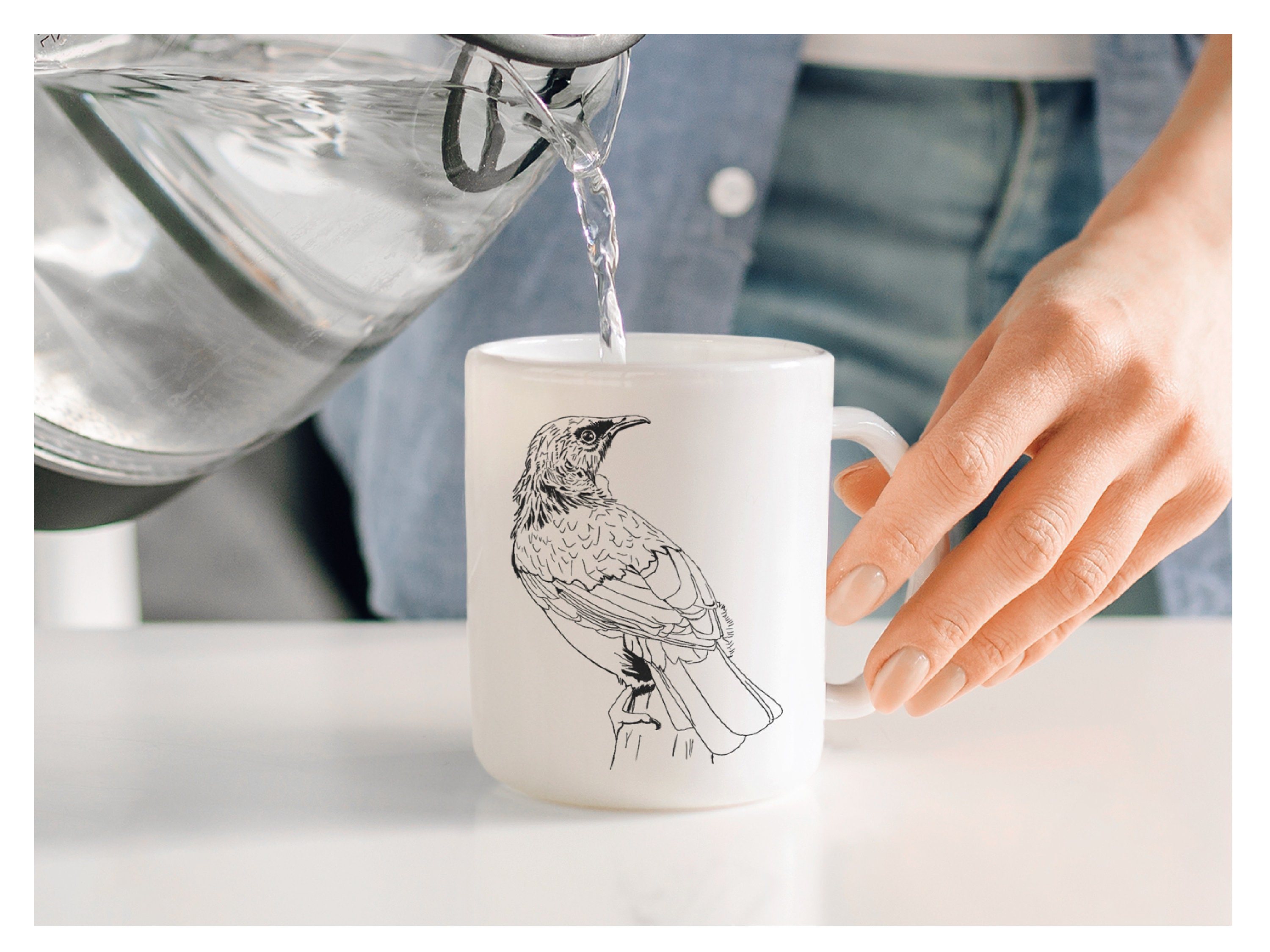 Hand Drawn Tui, One of New Zealand's Native Birds. Digital Download ...