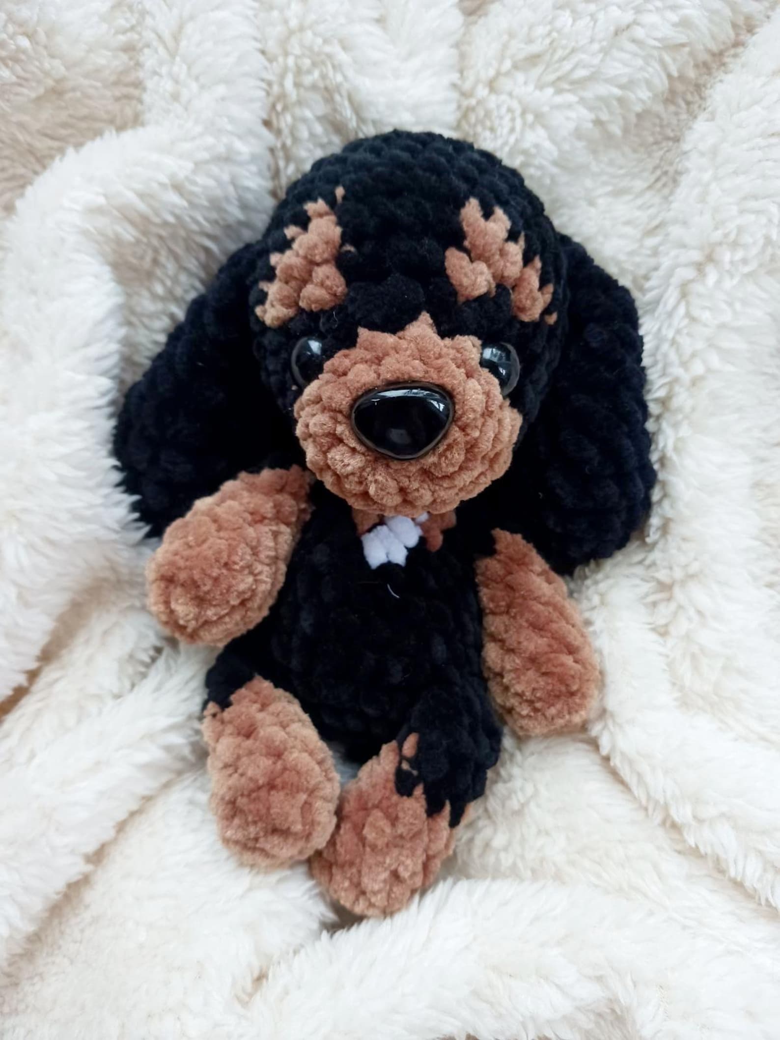 4-in-1 Bundle Cavalier King Charles Spaniel Blenheim, Black & Tan, Ruby ...