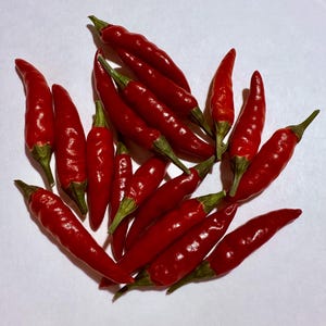 Siling Labuyo or Philippine Wild Chili Seeds - Etsy