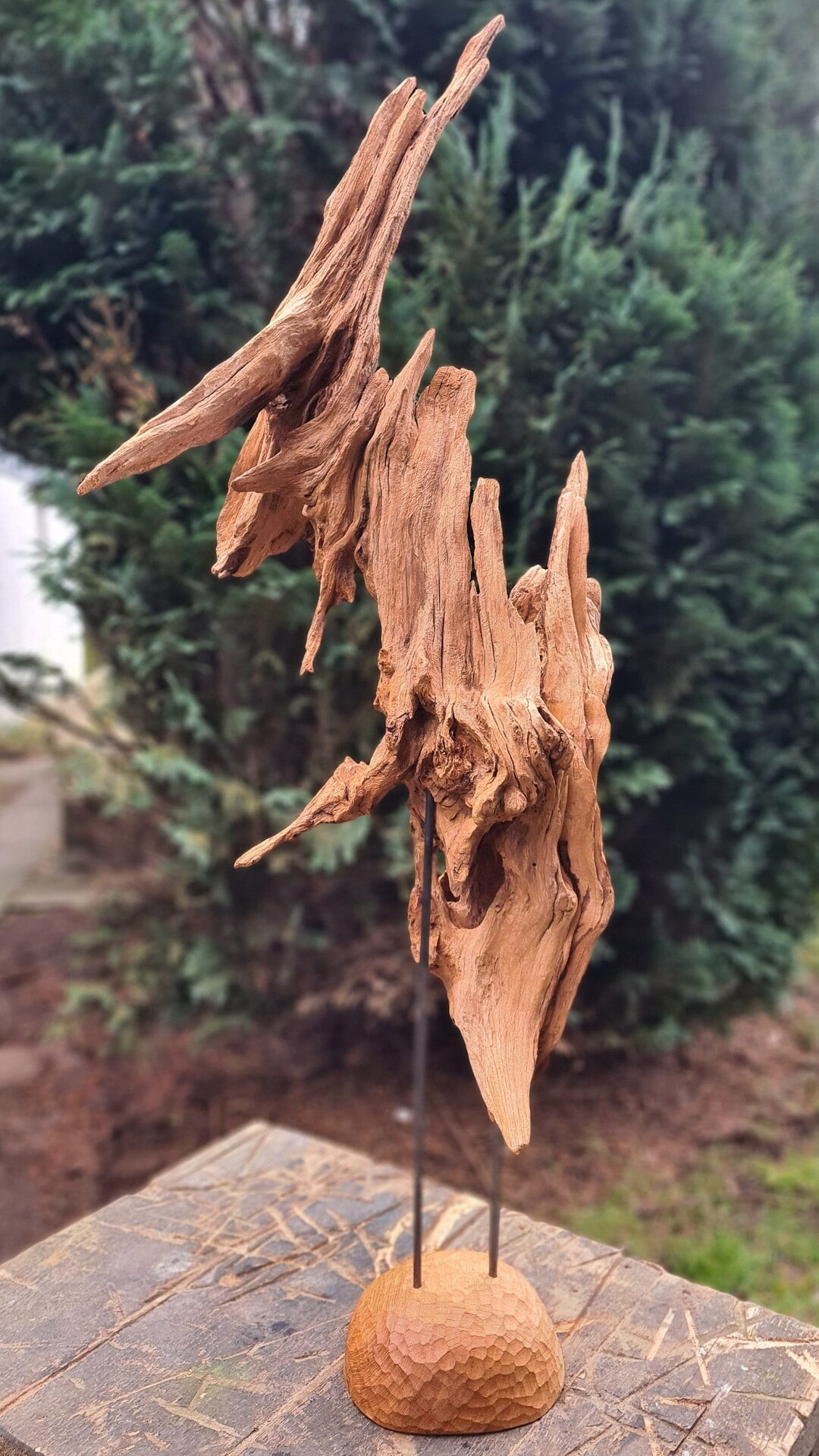 Root Wood, Sculpture Root Wood, Decorative Wood, Tree Root, Sculpture ...