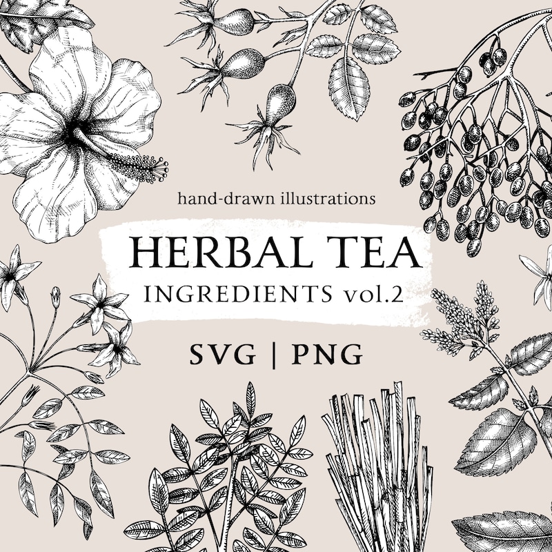 Plants Used for Tea Print - Etsy