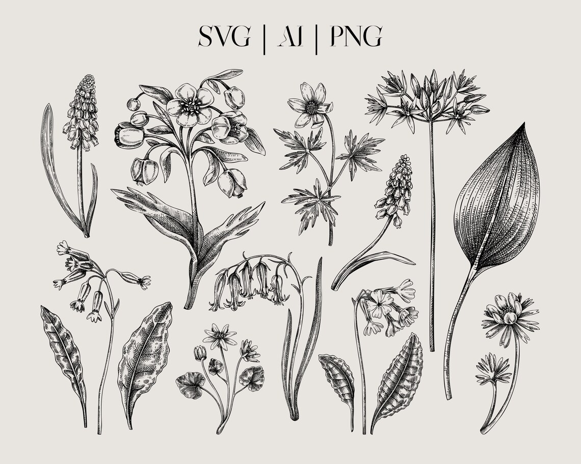 Spring PNG, Wild Flowers SVG, Wildflower Clipart, Vintage Easter ...